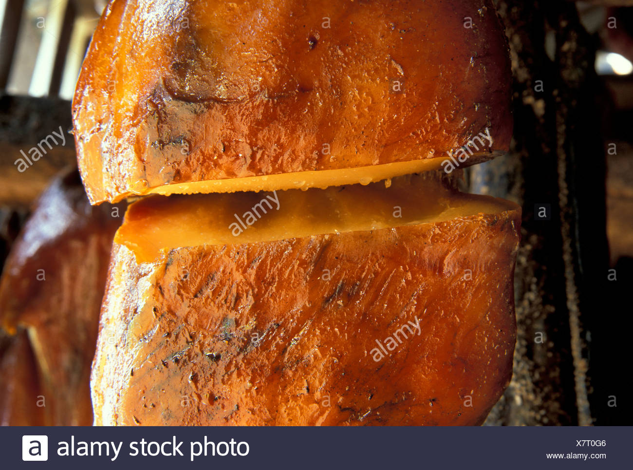 Greenland Shark High Resolution Stock Photography and Images - Alamy