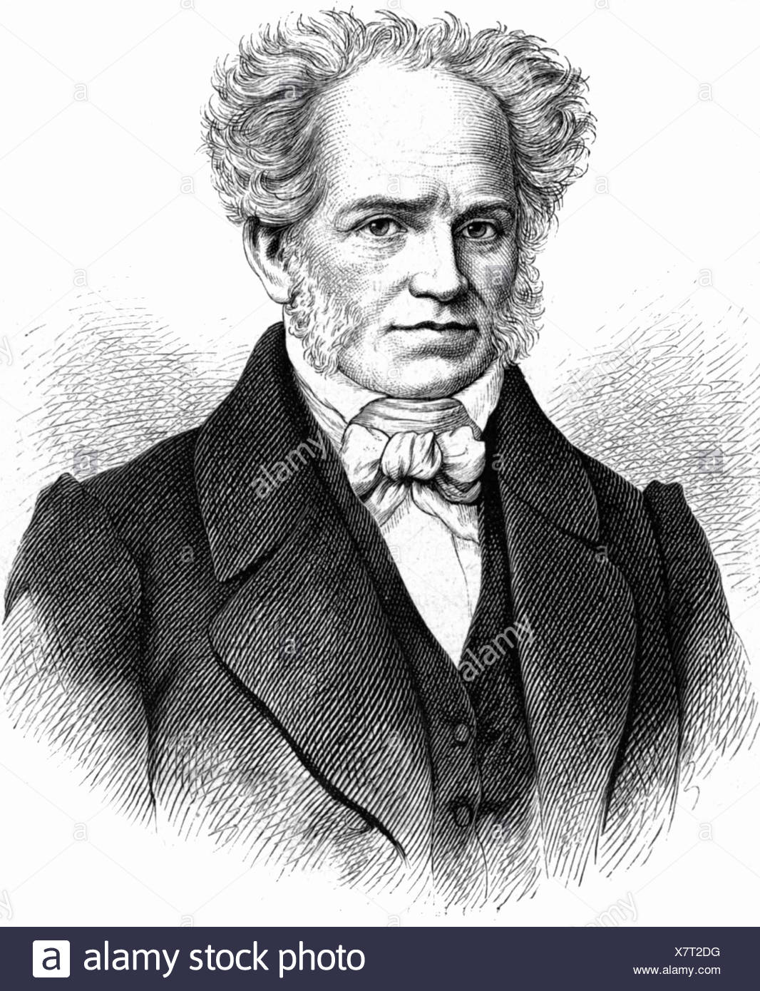 Arthur Schopenhauer German Philosopher 1788 1860 High Resolution Stock ...