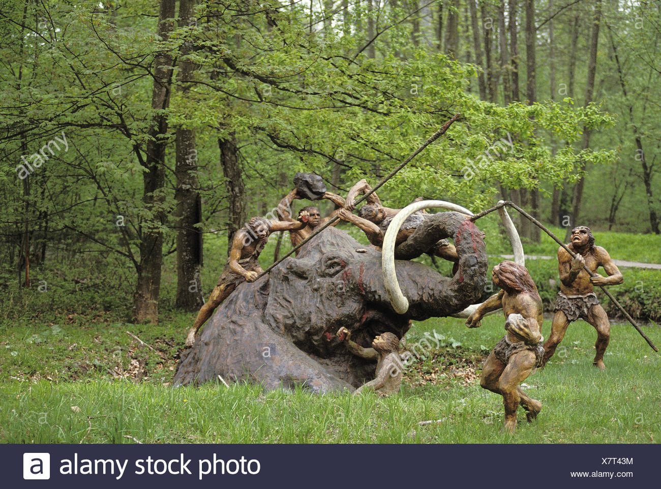 Neanderthal Man Stock Photos & Neanderthal Man Stock Images - Alamy