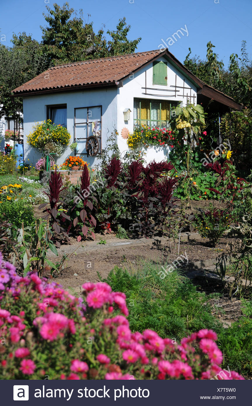 Red Amaranth High Resolution Stock Photography and Images - Alamy