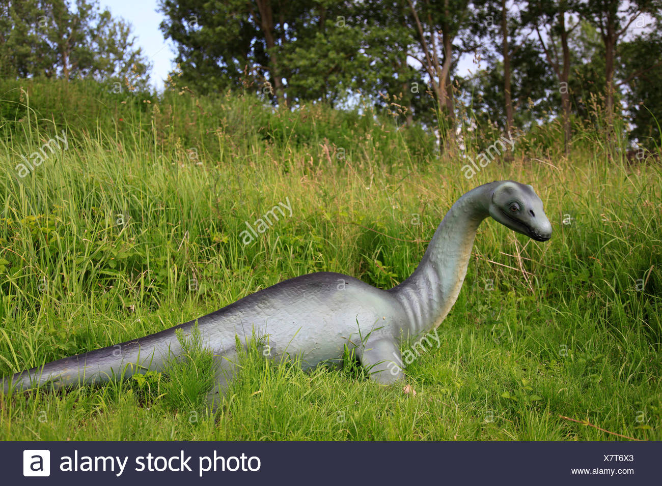 Early Permian Stock Photos & Early Permian Stock Images - Alamy