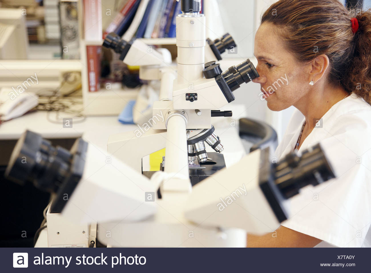 Haematology Lab High Resolution Stock Photography and Images - Alamy