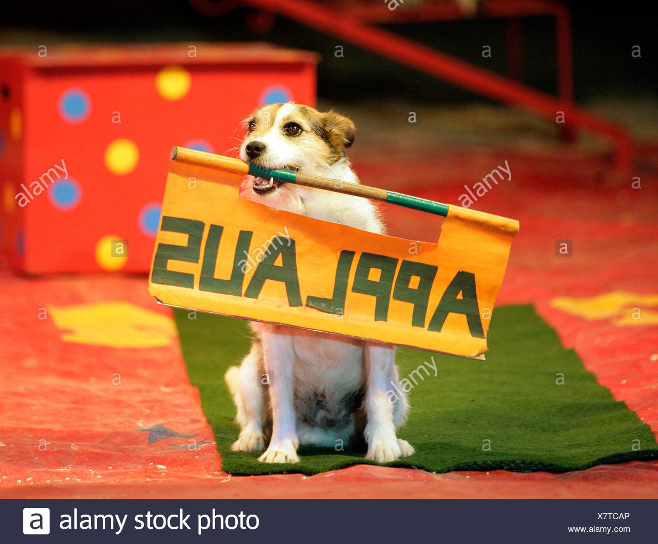 Applause Stock Photos & Applause Stock Images - Alamy