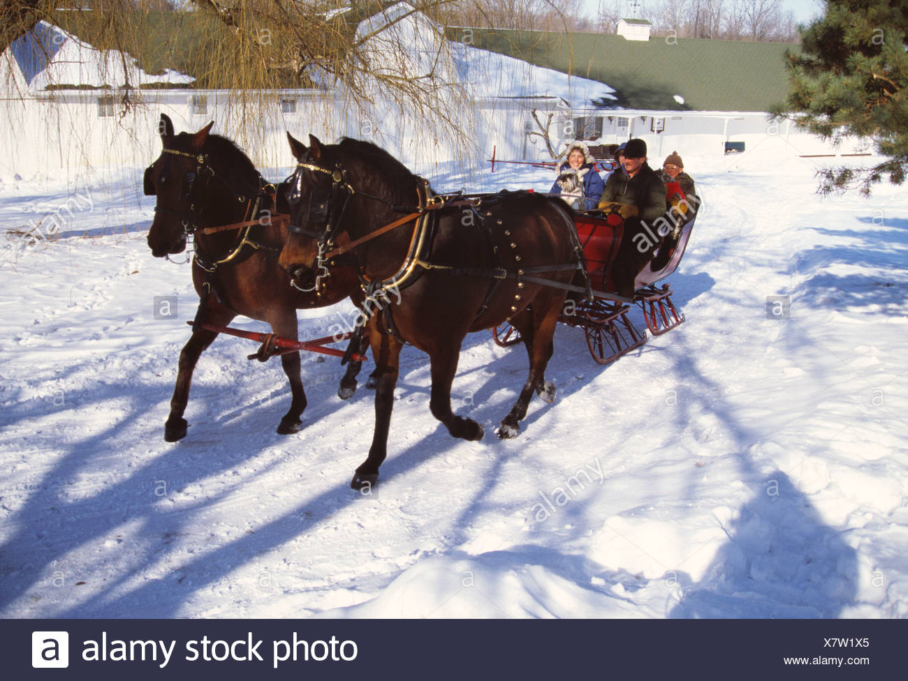 Horse Drawn Sleigh Ride Stock Photos & Horse Drawn Sleigh Ride Stock ...