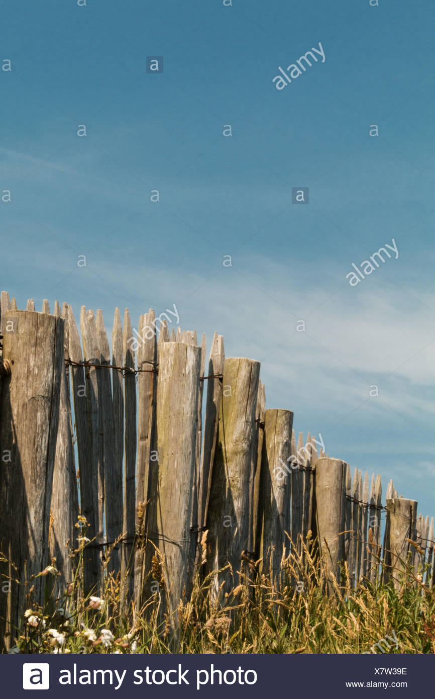 Paling Stock Photos & Paling Stock Images - Alamy