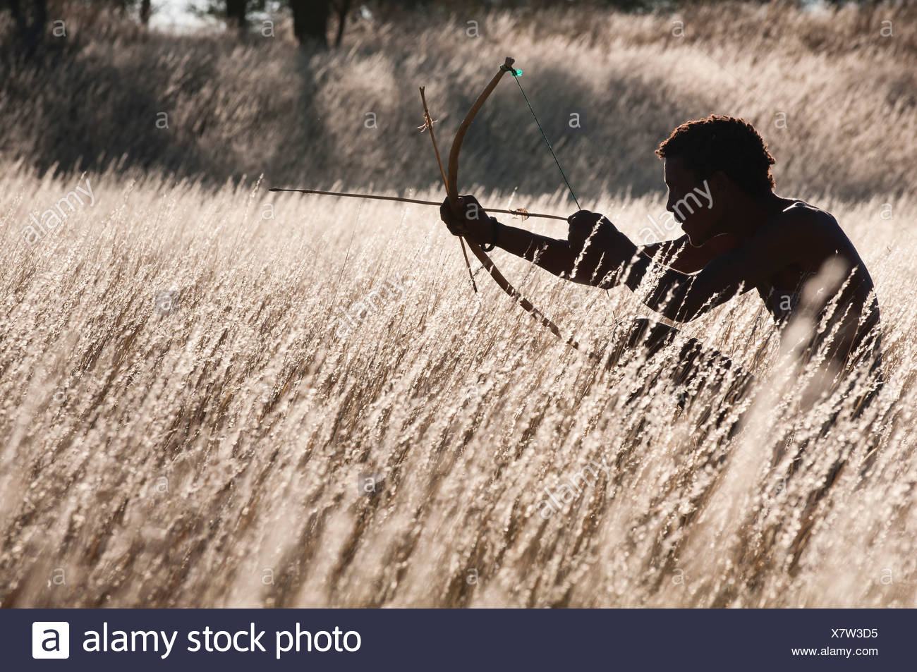 Kalahari Bushman Bow Arrow Stock Photos & Kalahari Bushman Bow Arrow ...