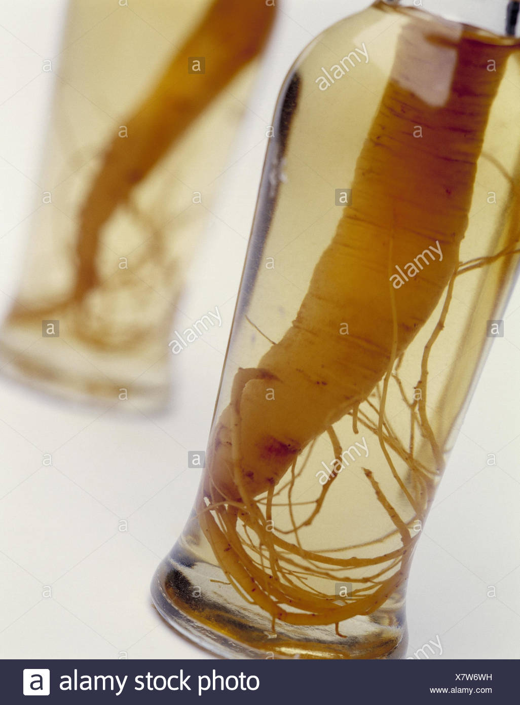 Ginseng Bottles High Resolution Stock Photography and Images - Alamy