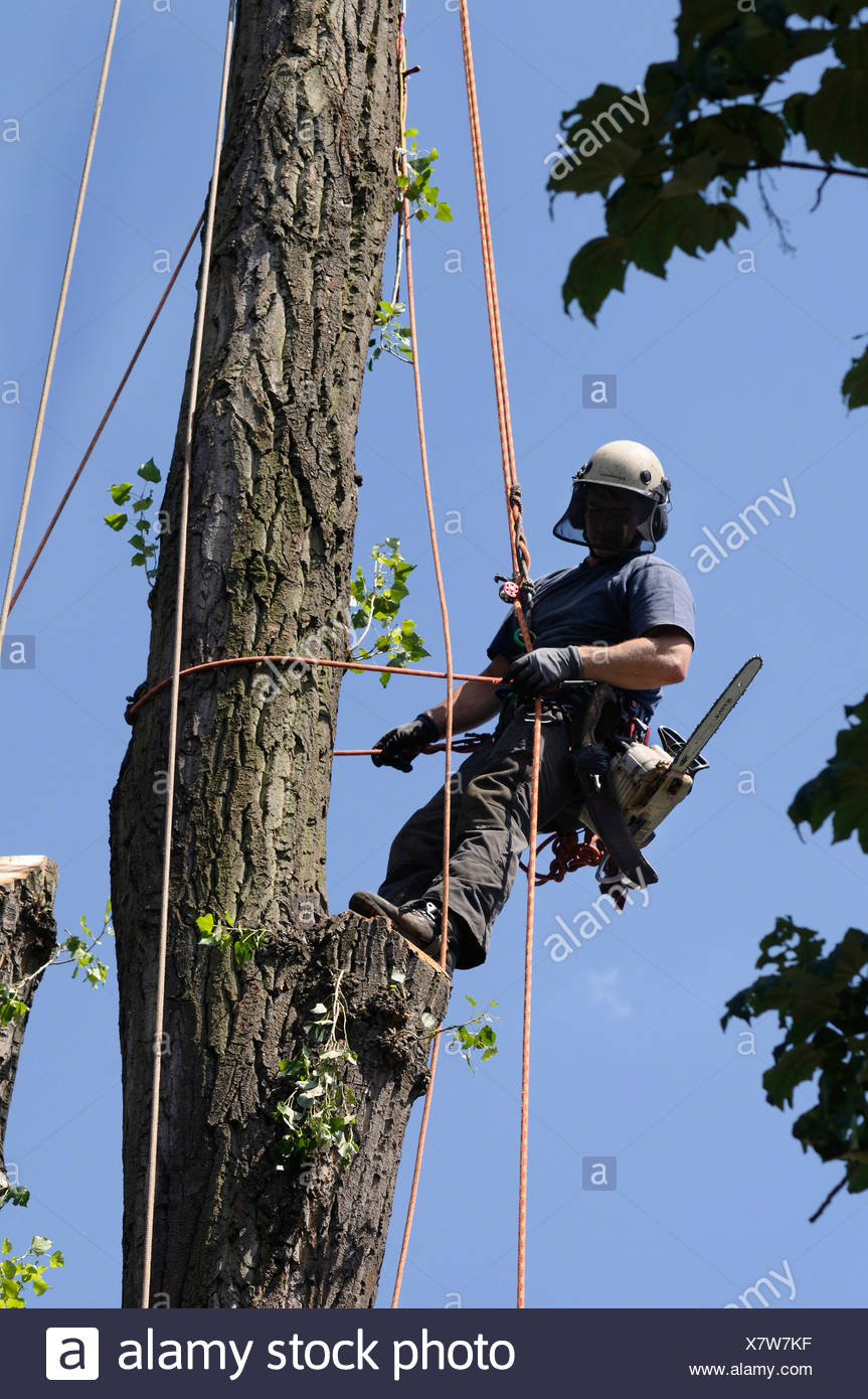 Safety Devices High Resolution Stock Photography and Images - Alamy
