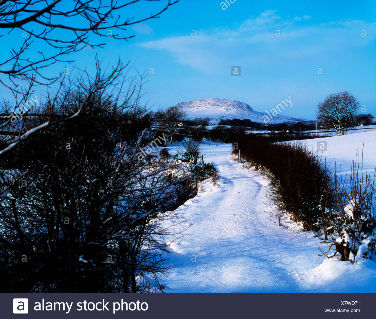 Slemishmountain High Resolution Stock Photography and Images - Alamy