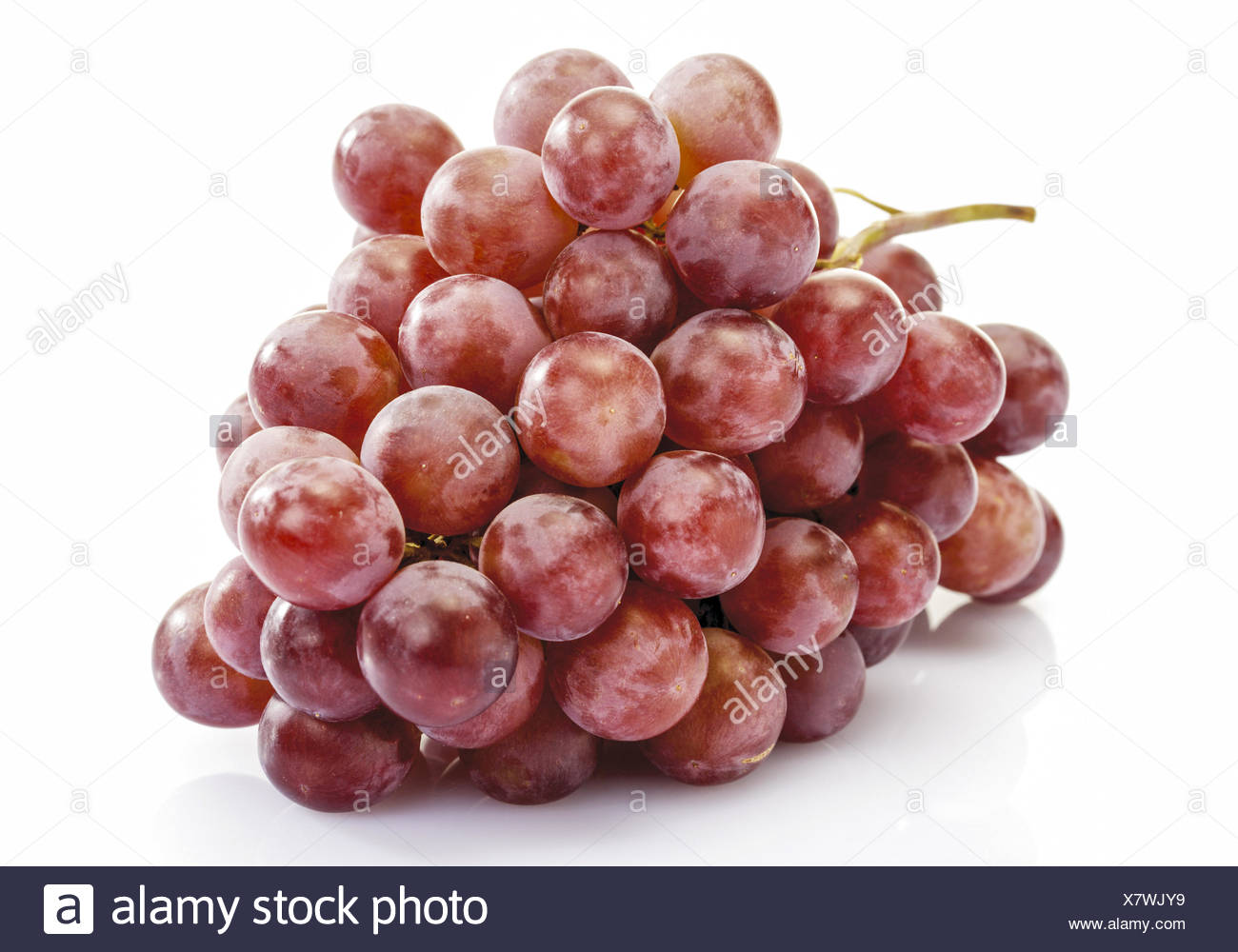 Rote Weintrauben High Resolution Stock Photography and Images - Alamy