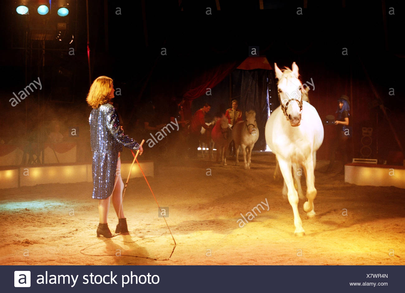Circus Horses High Resolution Stock Photography and Images - Alamy