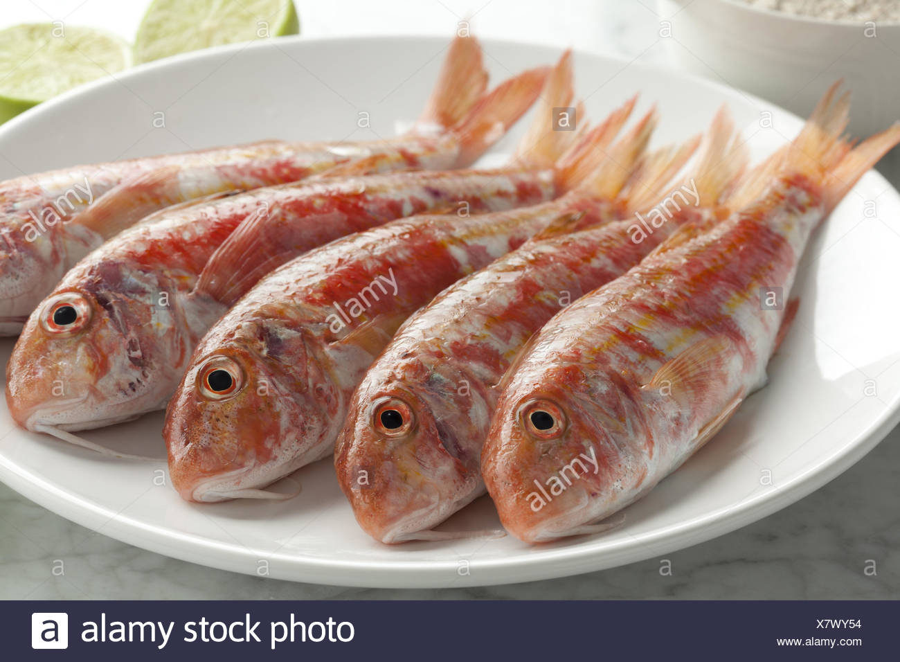 Striped Mullet Stock Photos & Striped Mullet Stock Images - Alamy