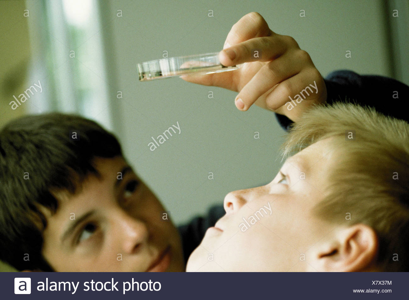 Biology Class Stock Photos & Biology Class Stock Images - Alamy