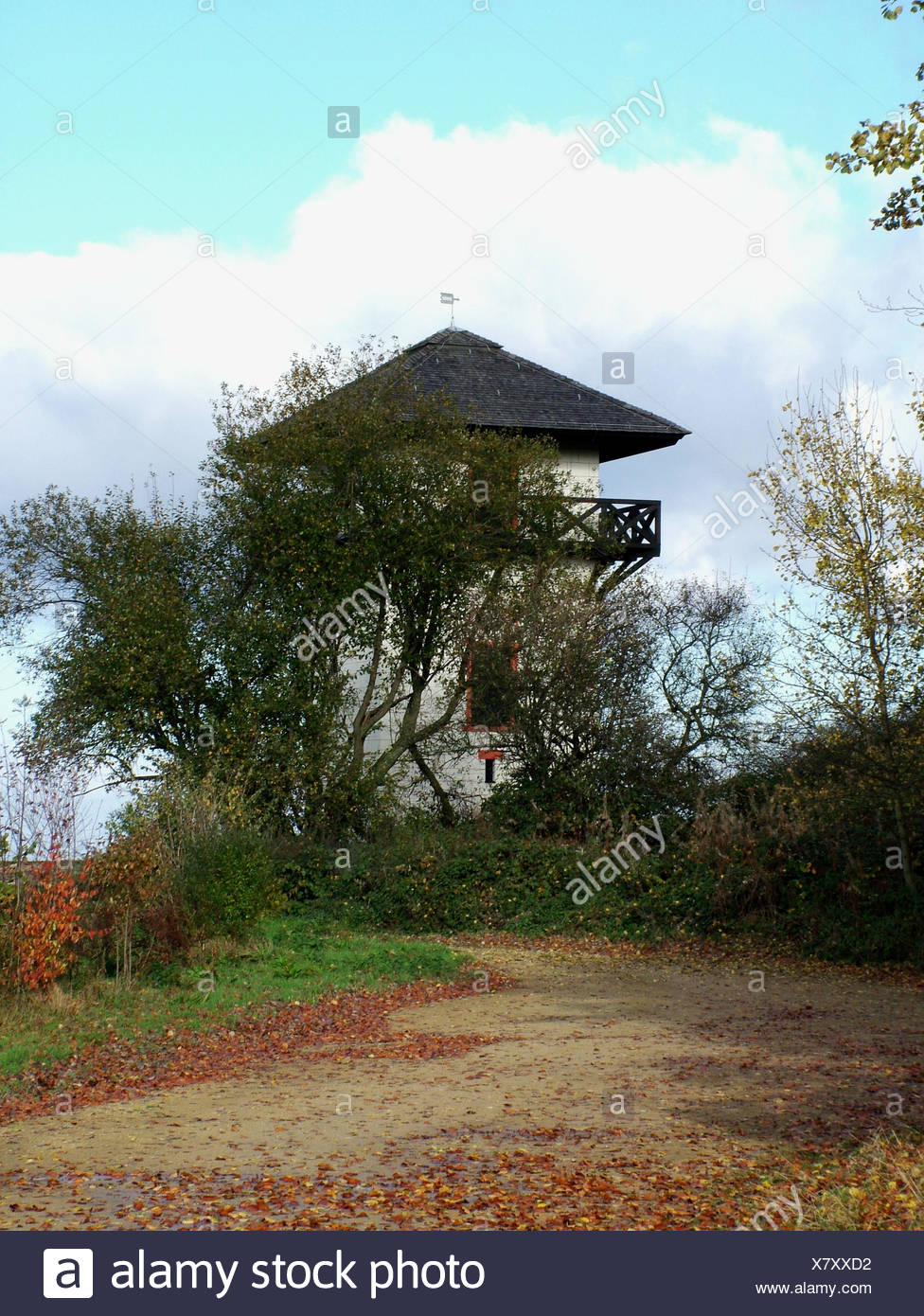 Roman Border High Resolution Stock Photography and Images - Alamy