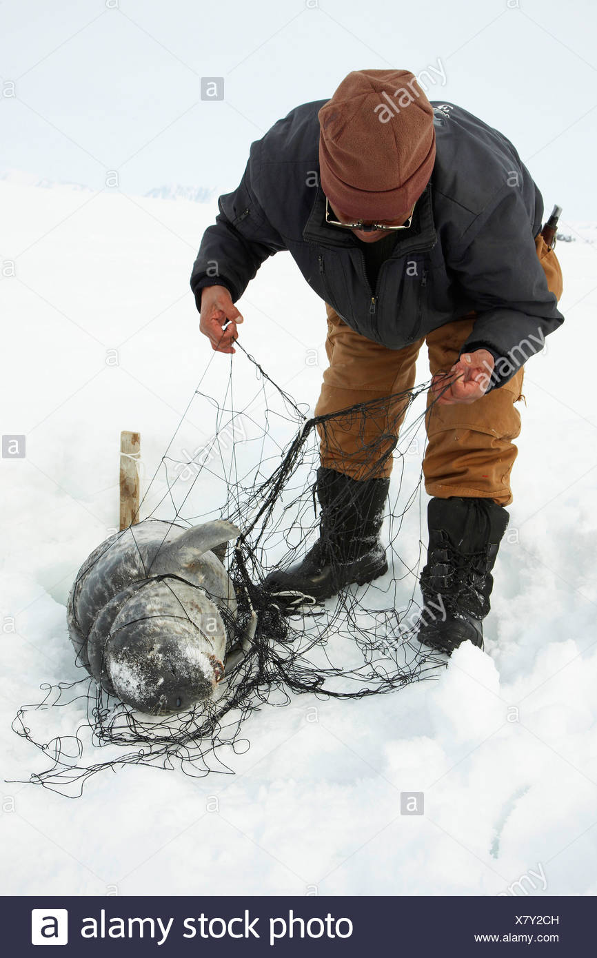 Eskimos Fishing Stock Photos & Eskimos Fishing Stock Images - Alamy