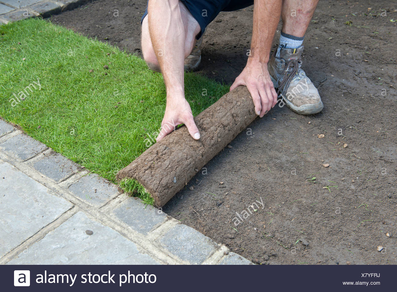 Laying The Turf High Resolution Stock Photography and Images - Alamy