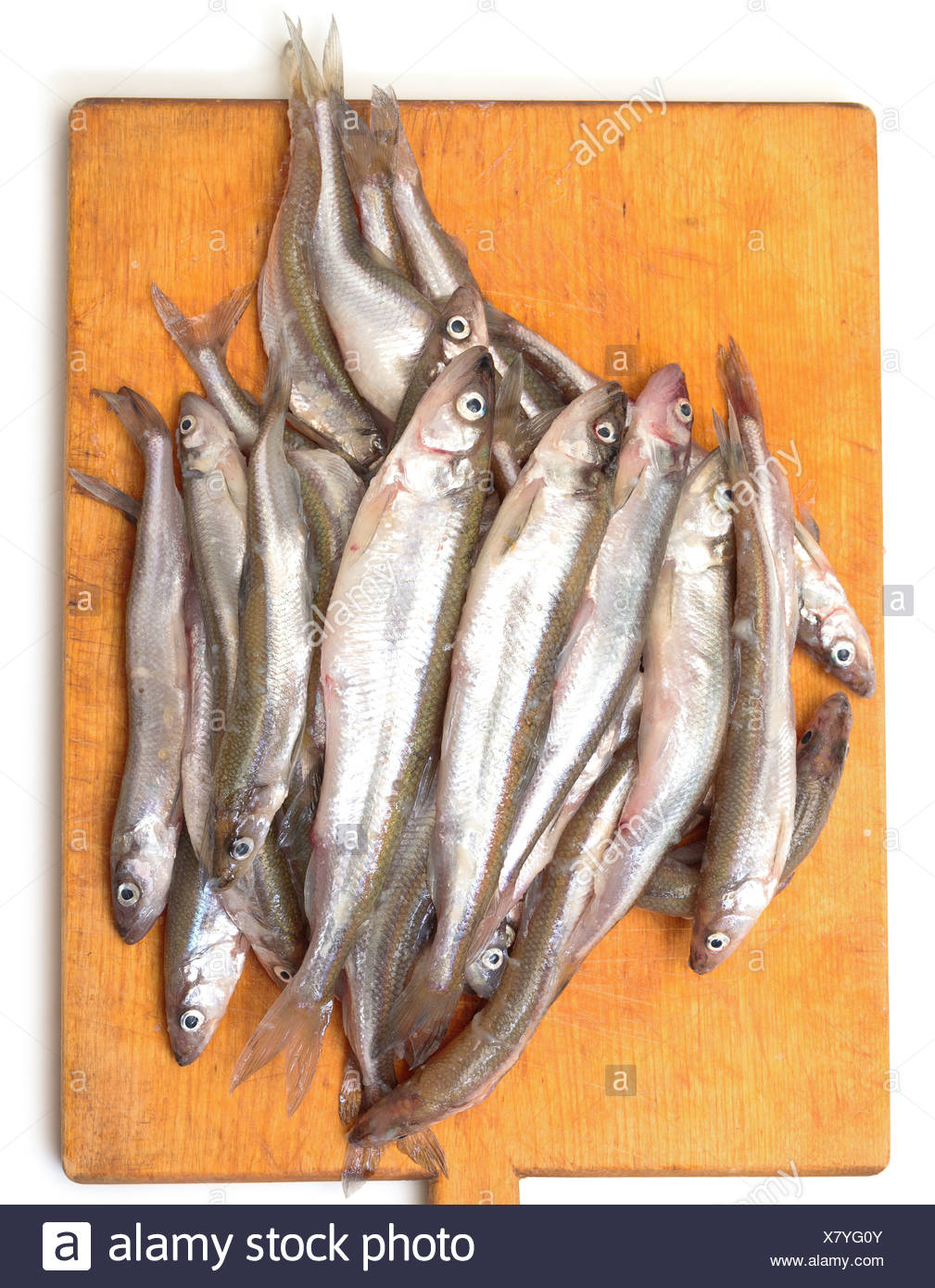 Smelts Stock Photos & Smelts Stock Images - Alamy