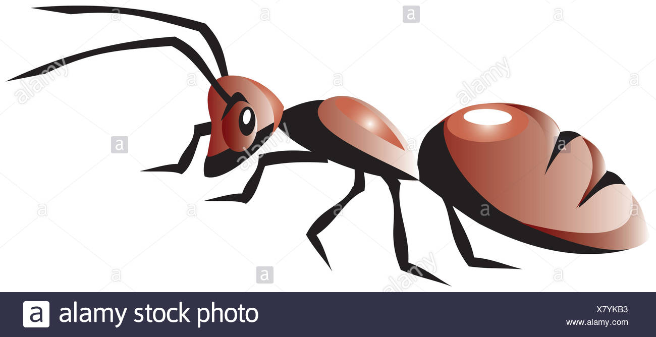 Ant Cut Out Stock Images & Pictures - Alamy