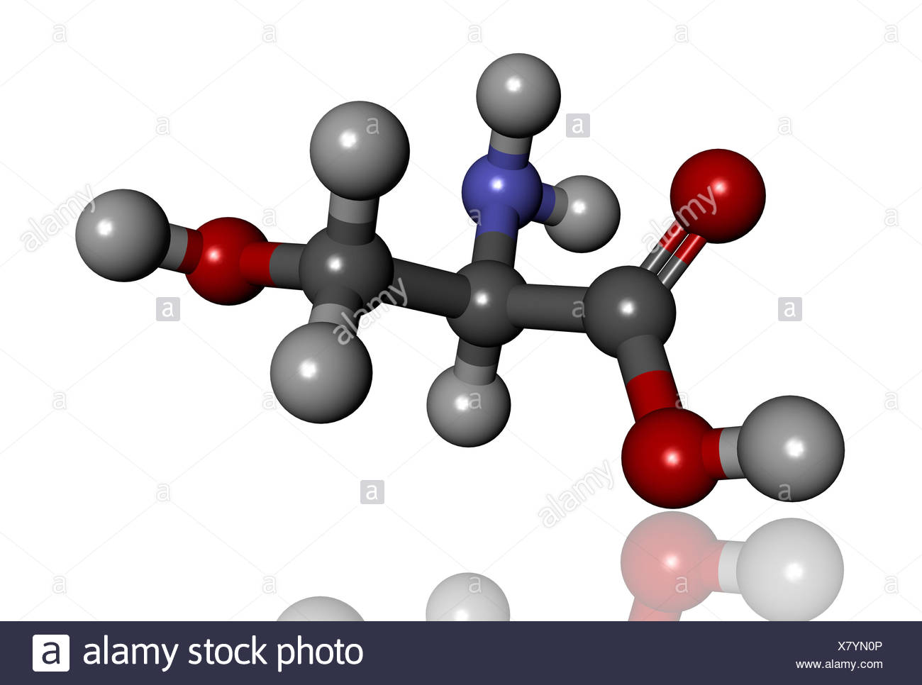 Serine Molecule High Resolution Stock Photography and Images - Alamy