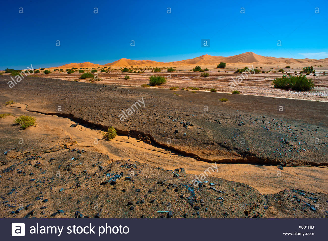 Dried Up River Bed Drought High Resolution Stock Photography and Images ...