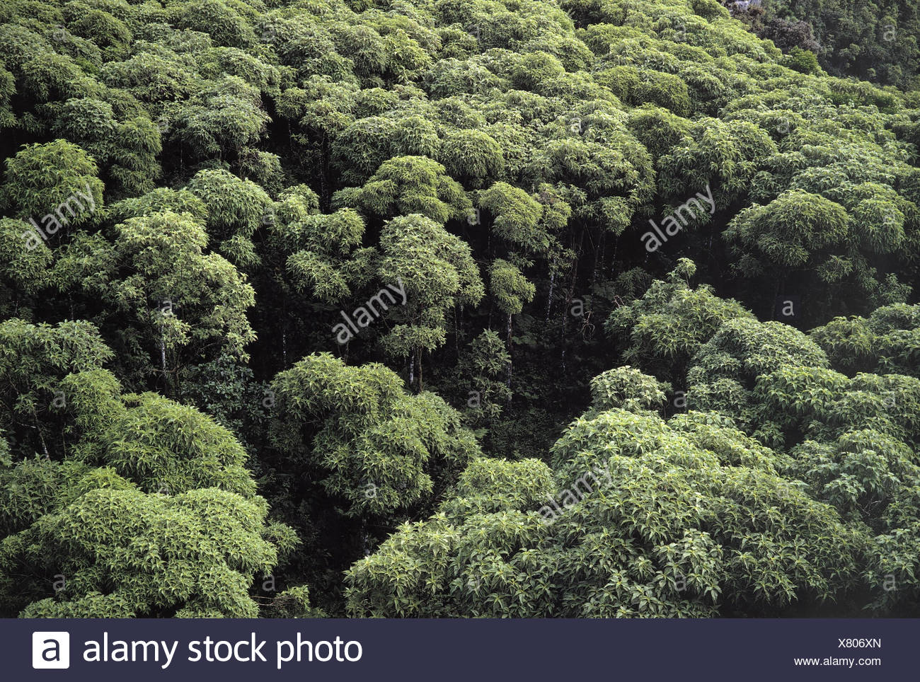 Galapagos Islands Aerial High Resolution Stock Photography and Images ...