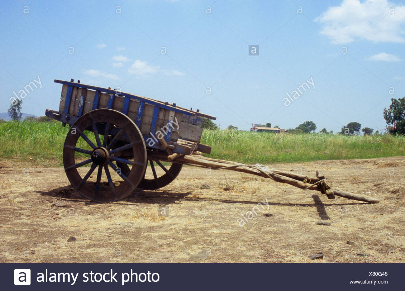 Bull Carts High Resolution Stock Photography and Images - Alamy