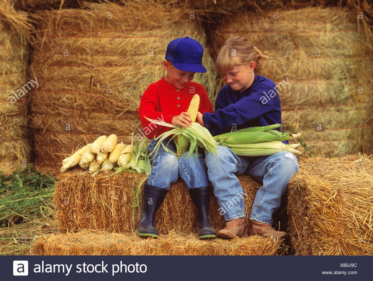 Husking Corn High Resolution Stock Photography and Images - Alamy