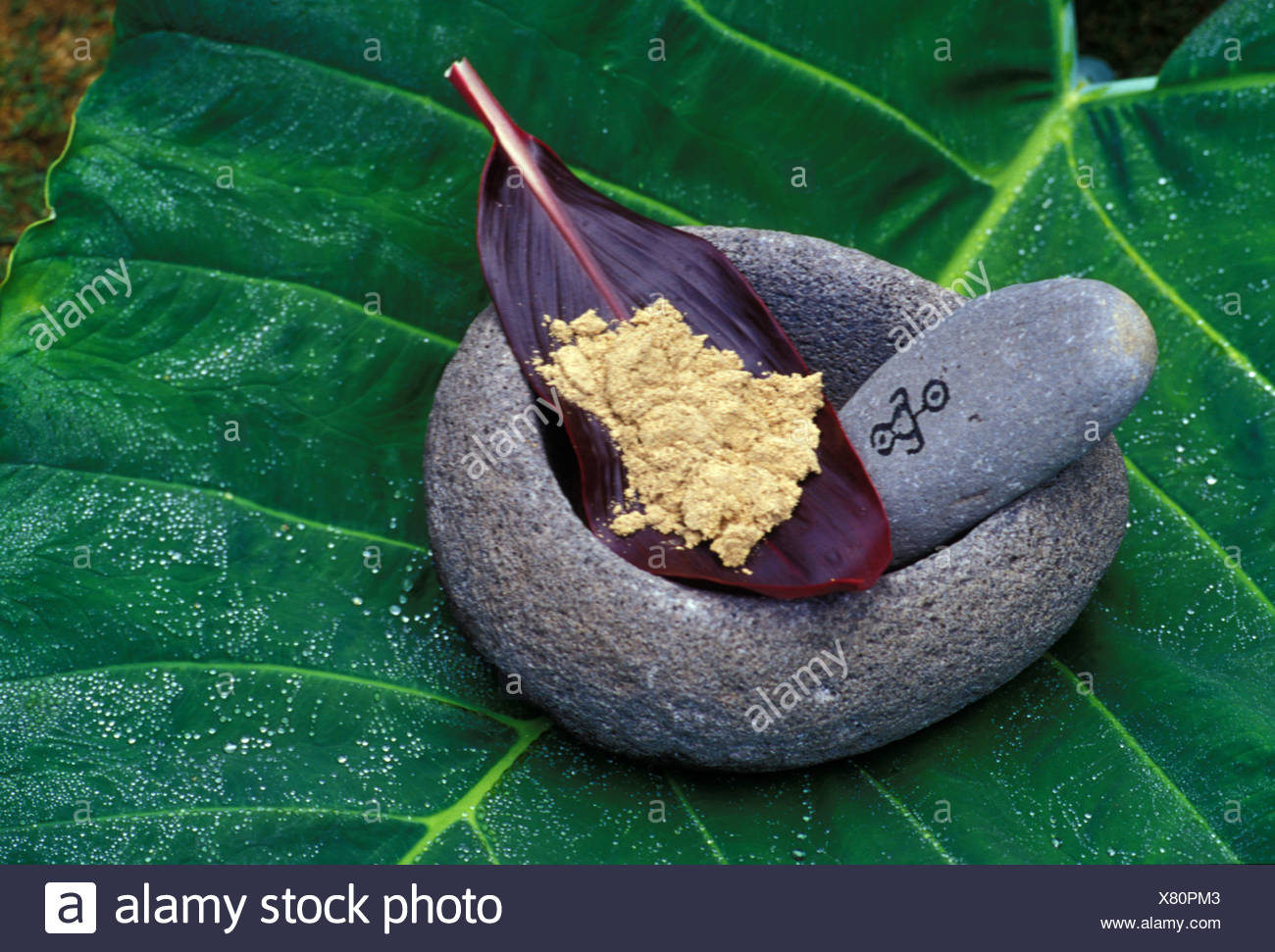Kava Bowl High Resolution Stock Photography and Images - Alamy