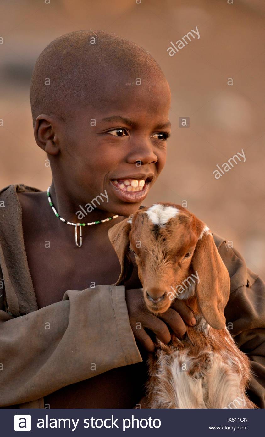 Goat Namibia High Resolution Stock Photography and Images - Alamy
