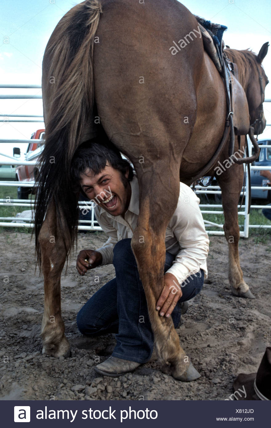 Horsing Around High Resolution Stock Photography and Images - Alamy