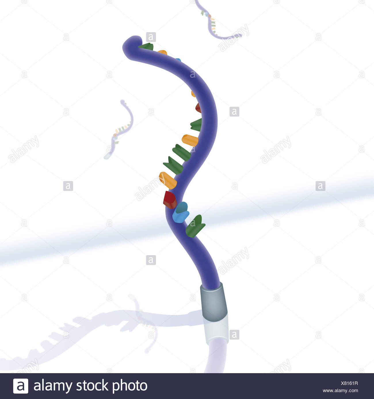 Dna Chip High Resolution Stock Photography and Images - Alamy