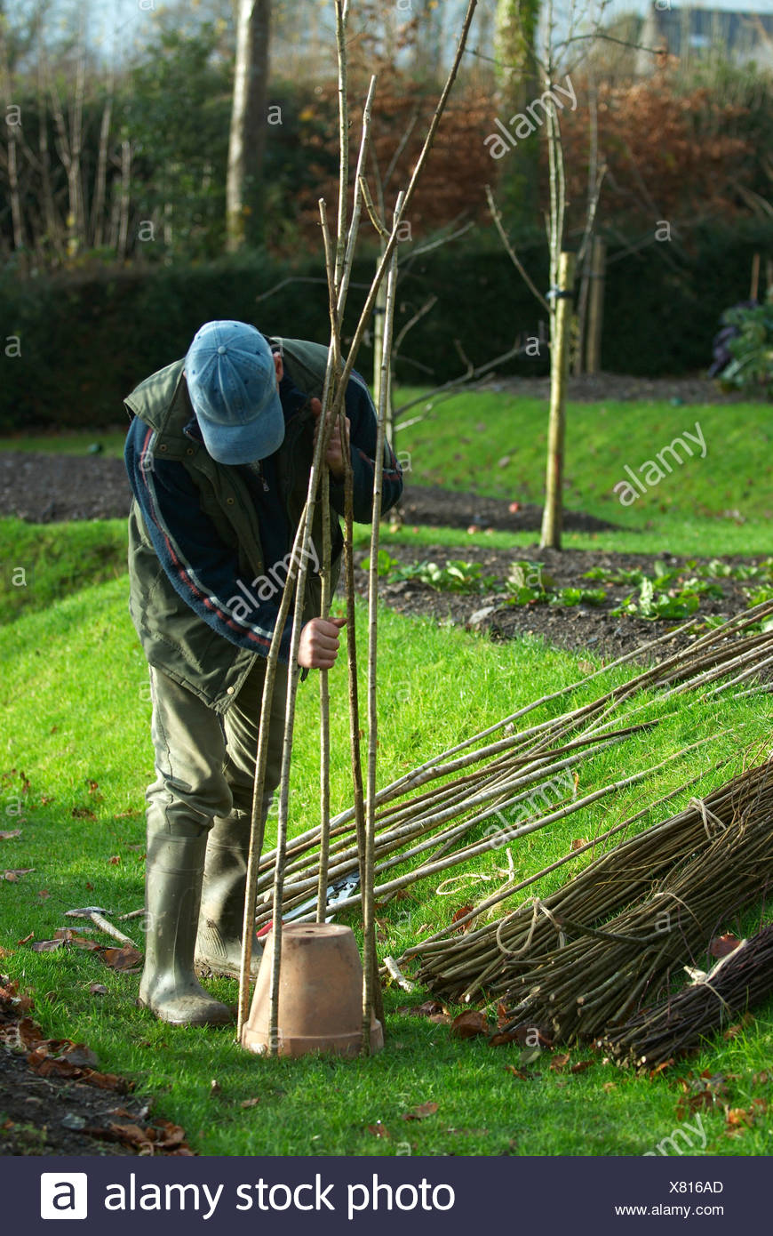 Willow Rods Stock Photos & Willow Rods Stock Images - Alamy