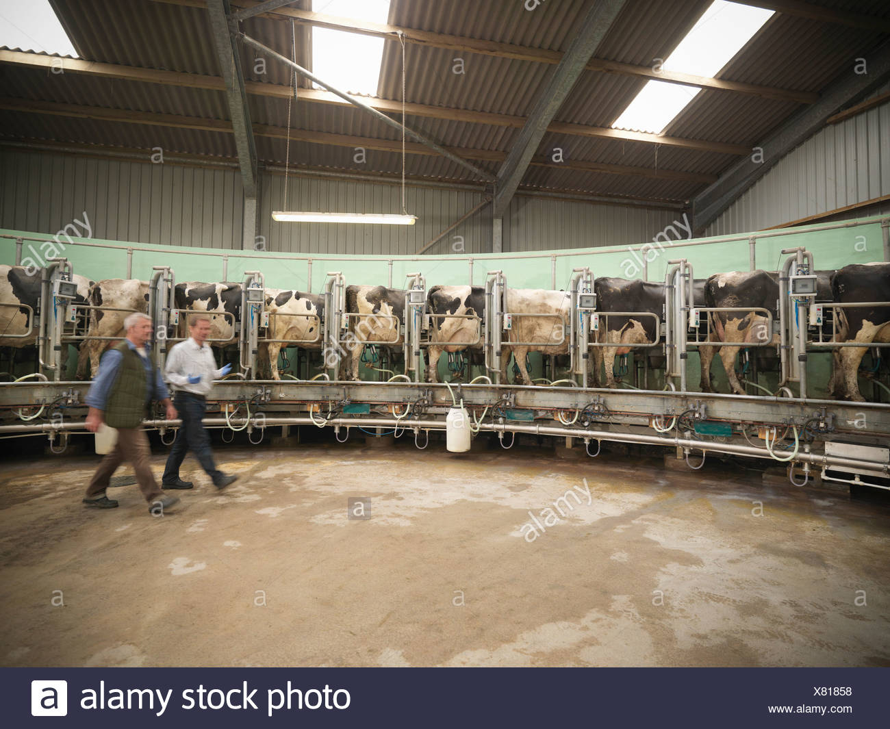 Milking Machine Human High Resolution Stock Photography and Images - Alamy