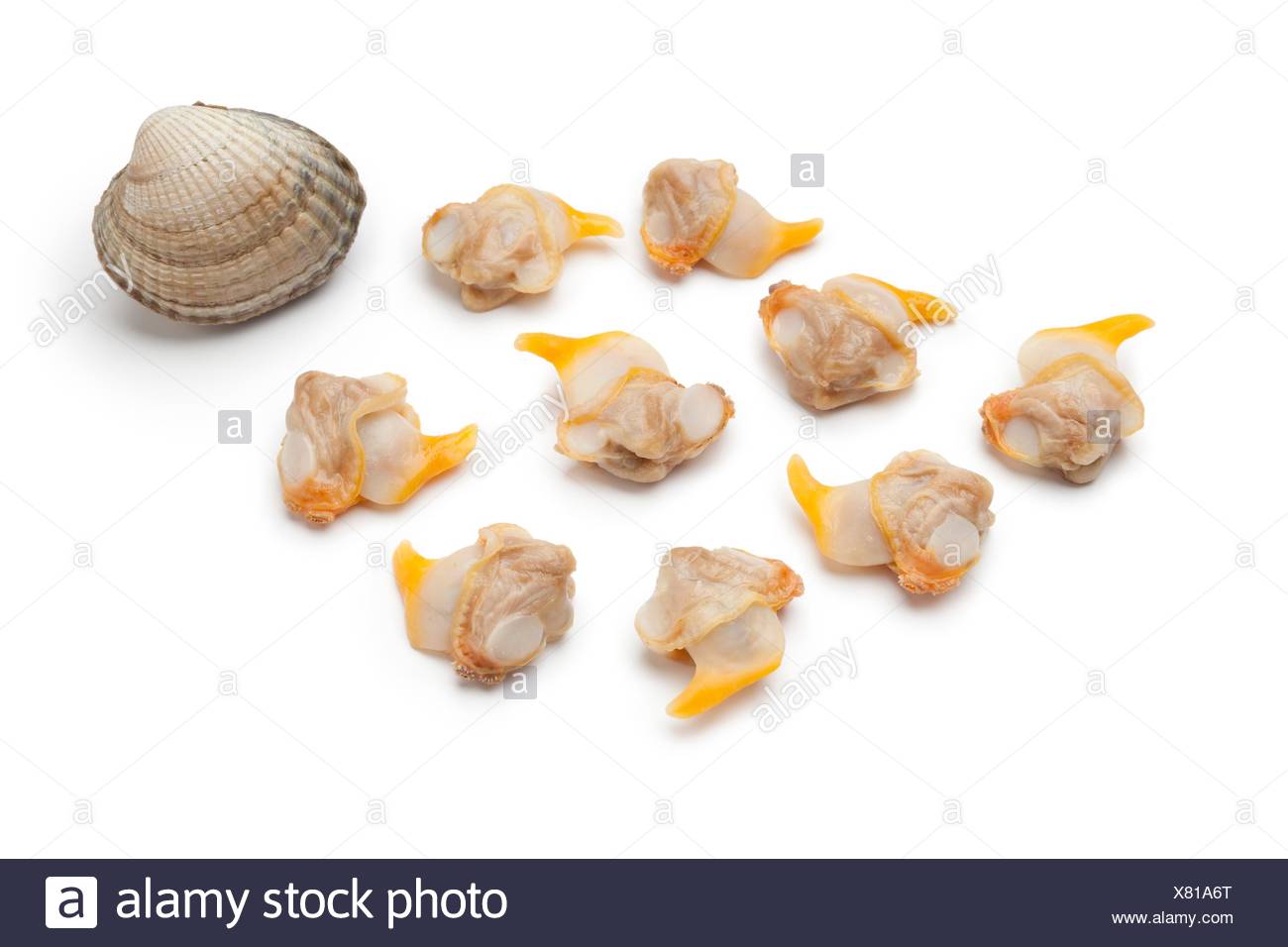 Cooked Cockles High Resolution Stock Photography and Images - Alamy