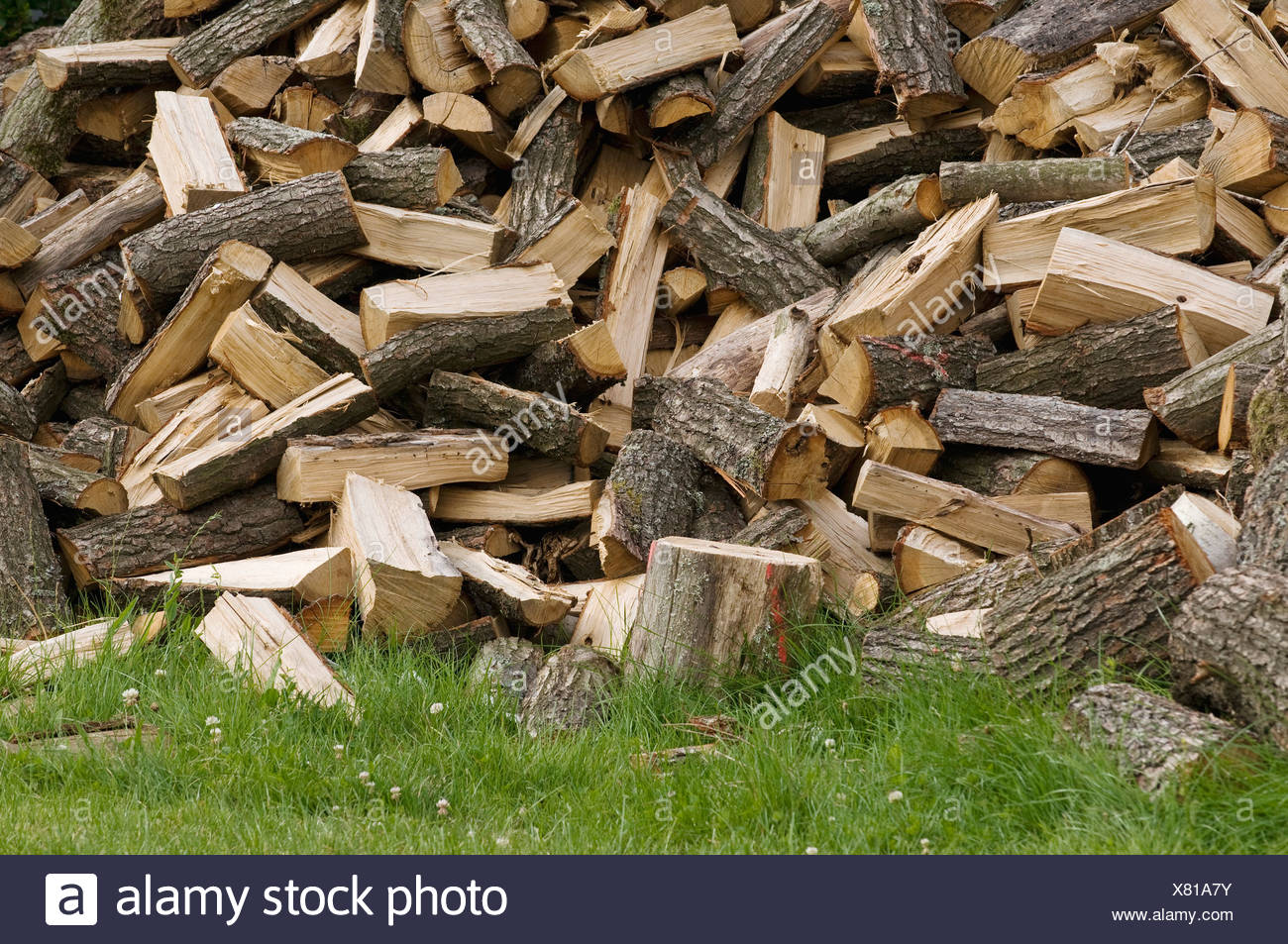 Holzscheit High Resolution Stock Photography and Images - Alamy