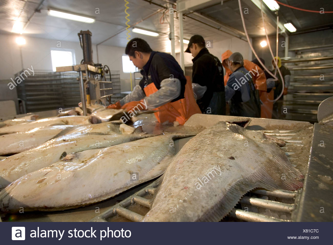 Aleut People High Resolution Stock Photography and Images - Alamy