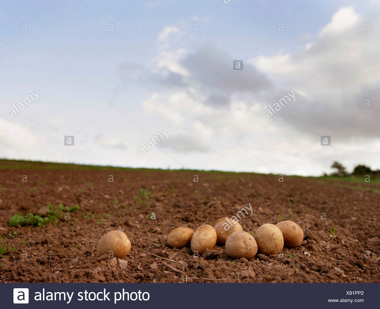 Farming Ground High Resolution Stock Photography and Images - Alamy