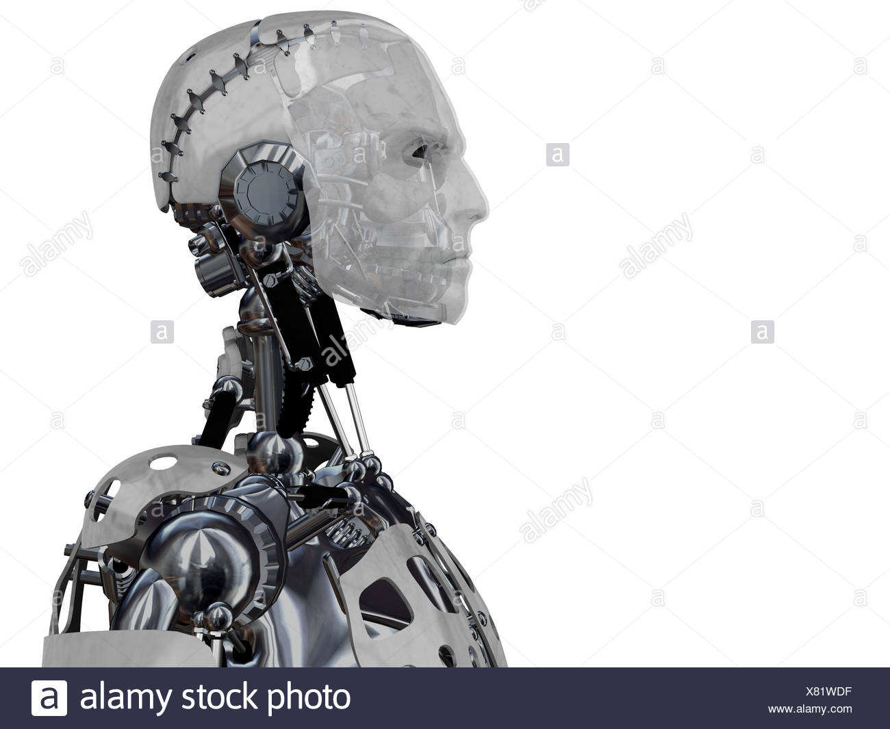 Cyborgs High Resolution Stock Photography and Images - Alamy
