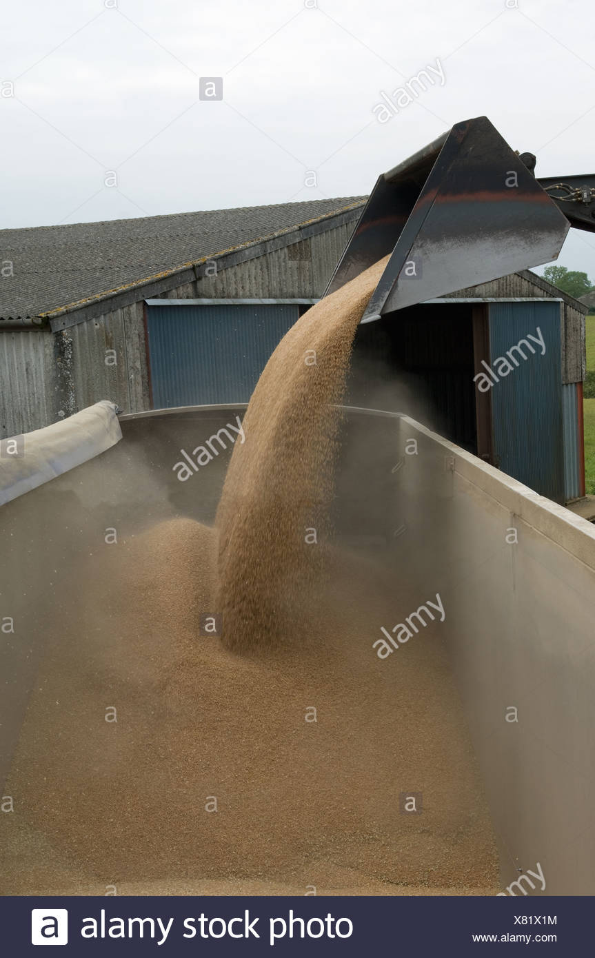 Lorry Grain High Resolution Stock Photography and Images - Alamy