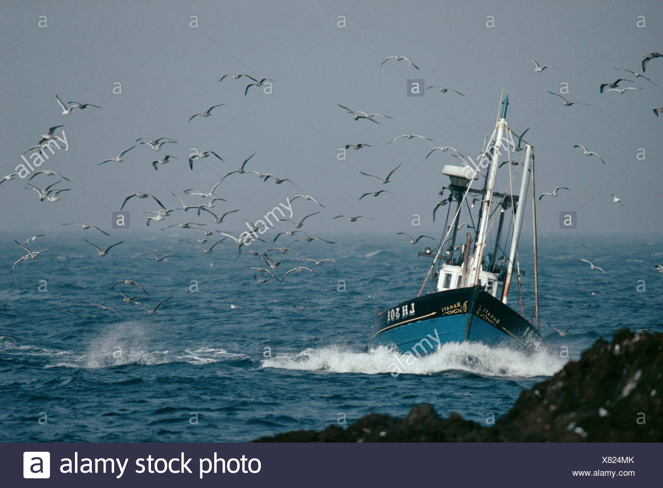Fishing Boat Rough Sea High Resolution Stock Photography and Images - Alamy