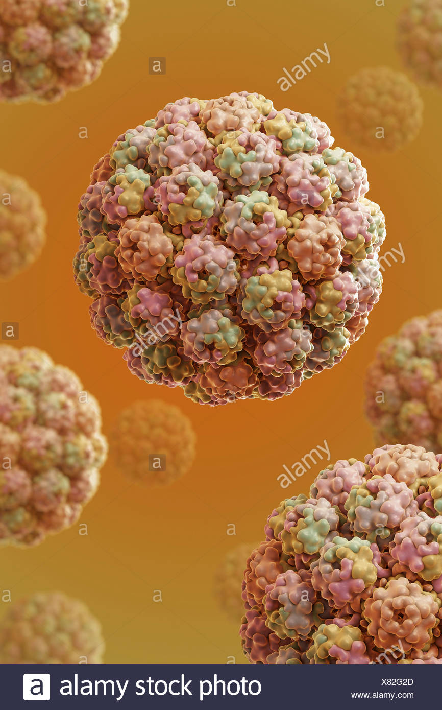 Polyomavirus High Resolution Stock Photography and Images - Alamy