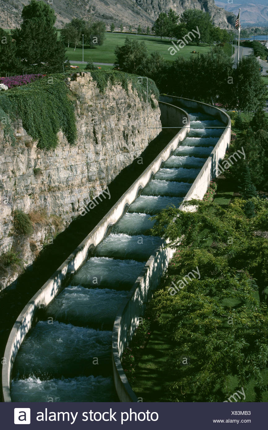 Fish Ladders High Resolution Stock Photography and Images - Alamy