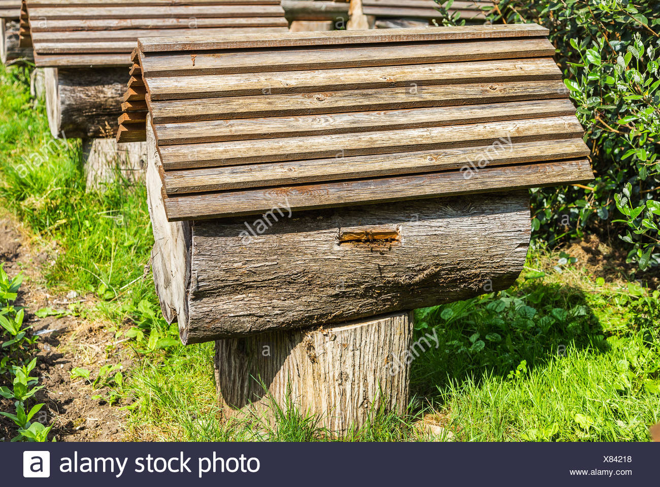 Wooden Beehive High Resolution Stock Photography and Images - Alamy