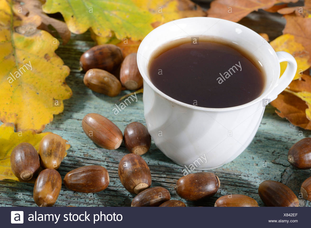Acorns Coffee Stock Photos & Acorns Coffee Stock Images - Alamy