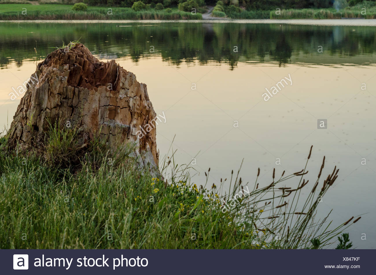 Rodden Stock Photos & Rodden Stock Images - Alamy