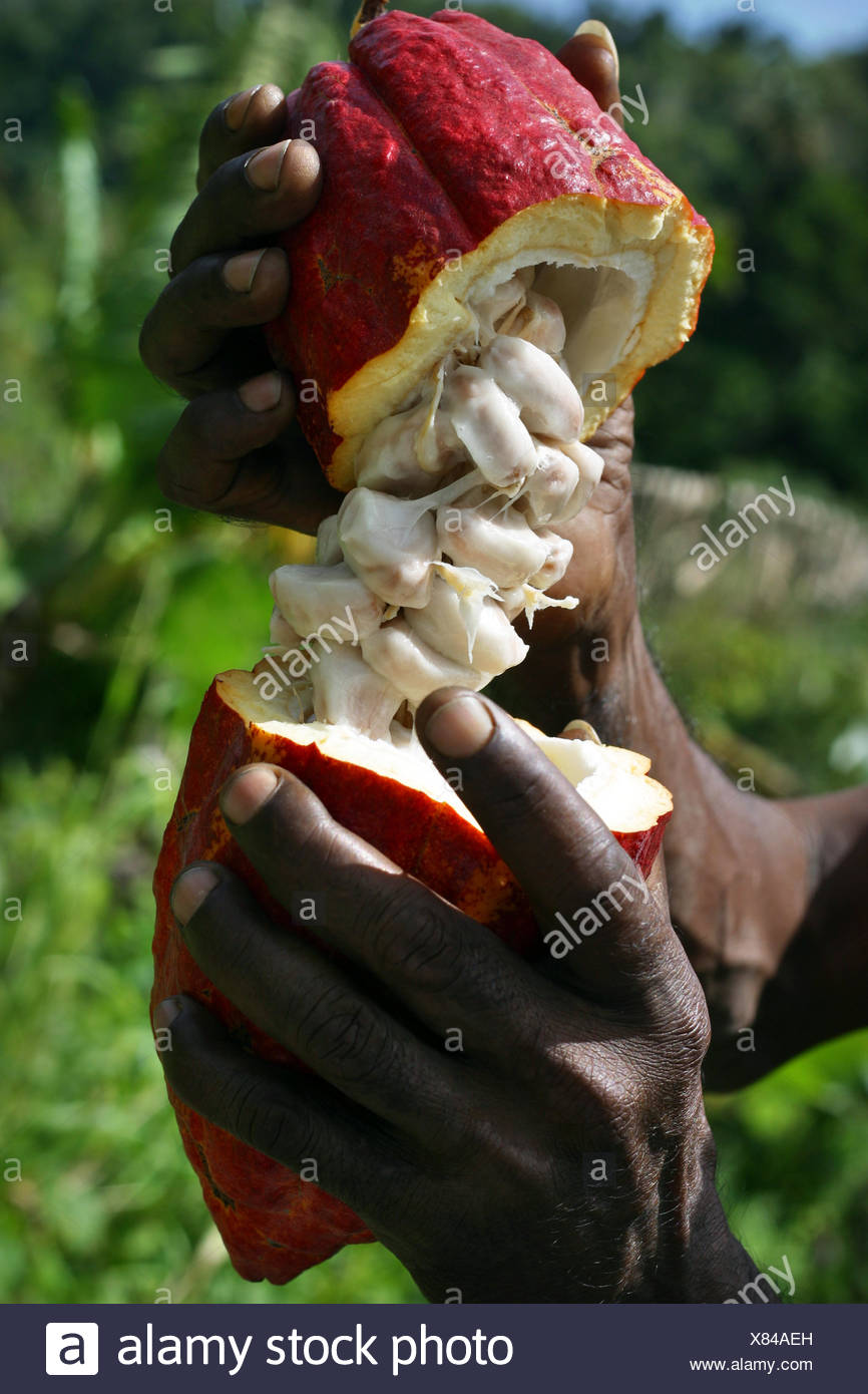 Caribbean Farming Stock Photos & Caribbean Farming Stock Images - Alamy