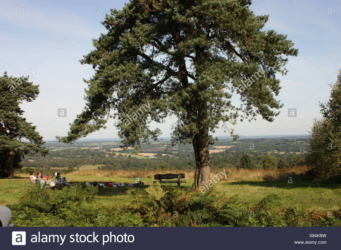 Ashdown Forest High Resolution Stock Photography and Images - Alamy