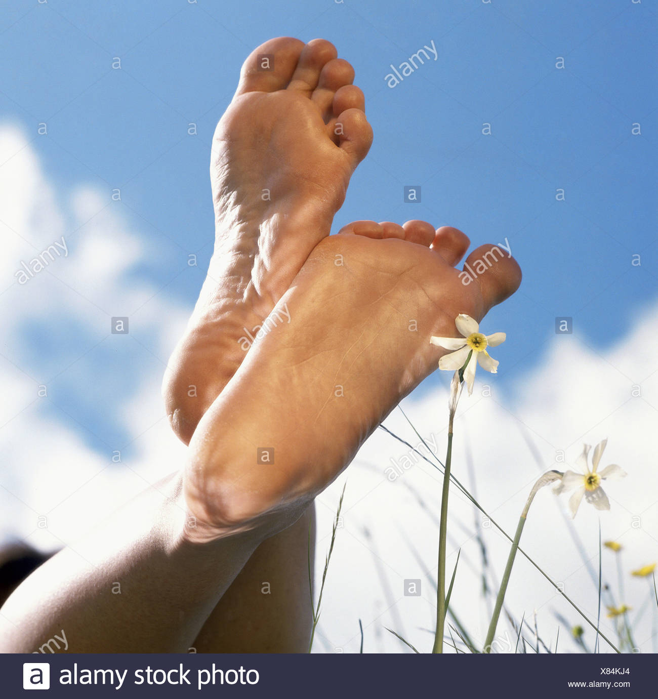 Bastinado Stock Photos & Bastinado Stock Images - Alamy