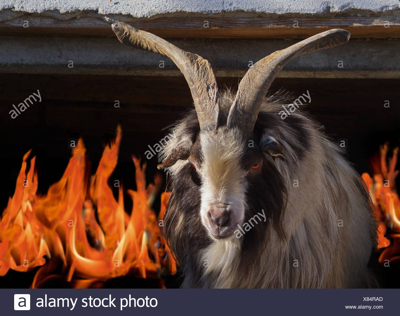 Devil With Goat Stock Photos & Devil With Goat Stock Images - Alamy