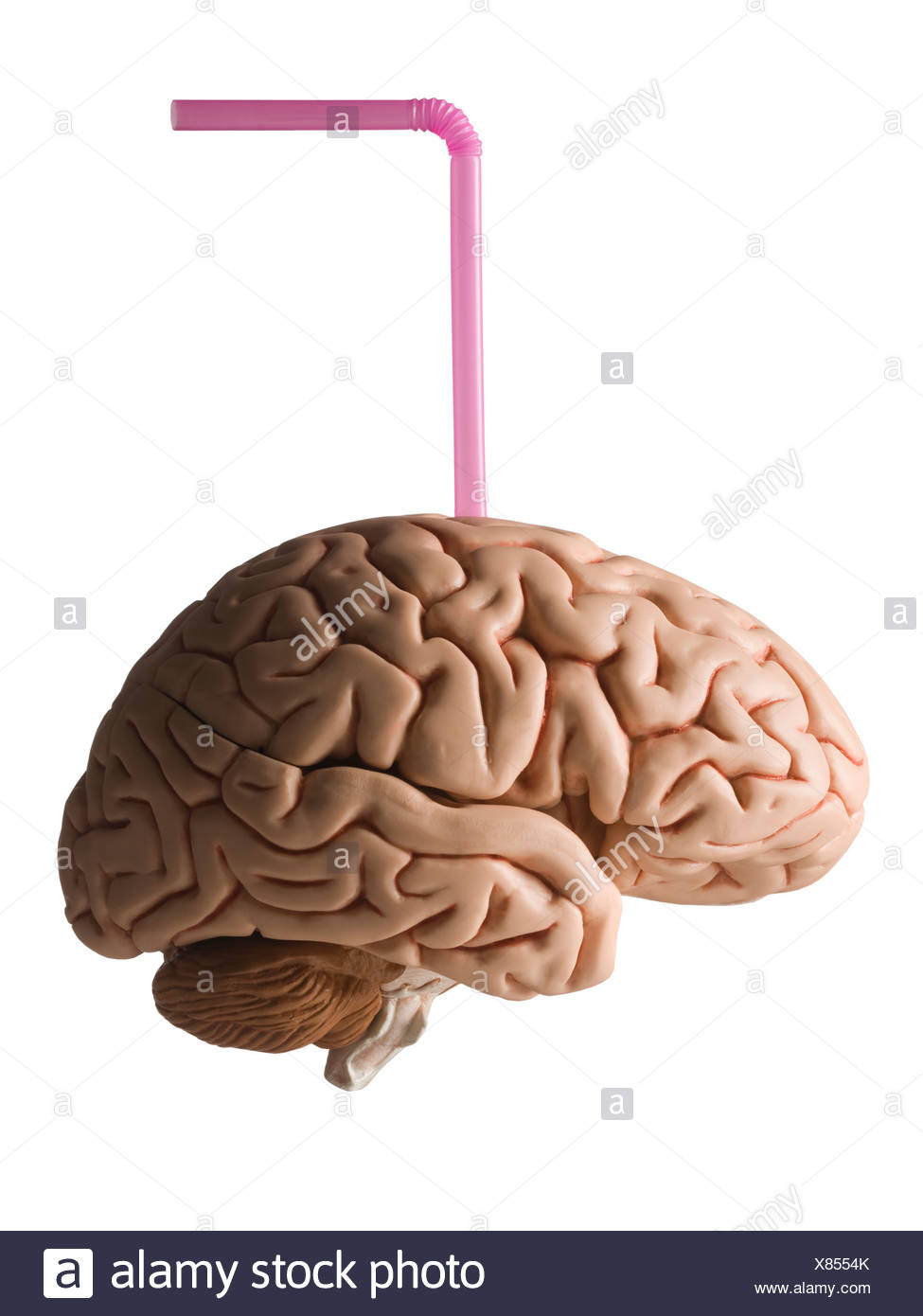 Brain Food High Resolution Stock Photography and Images - Alamy
